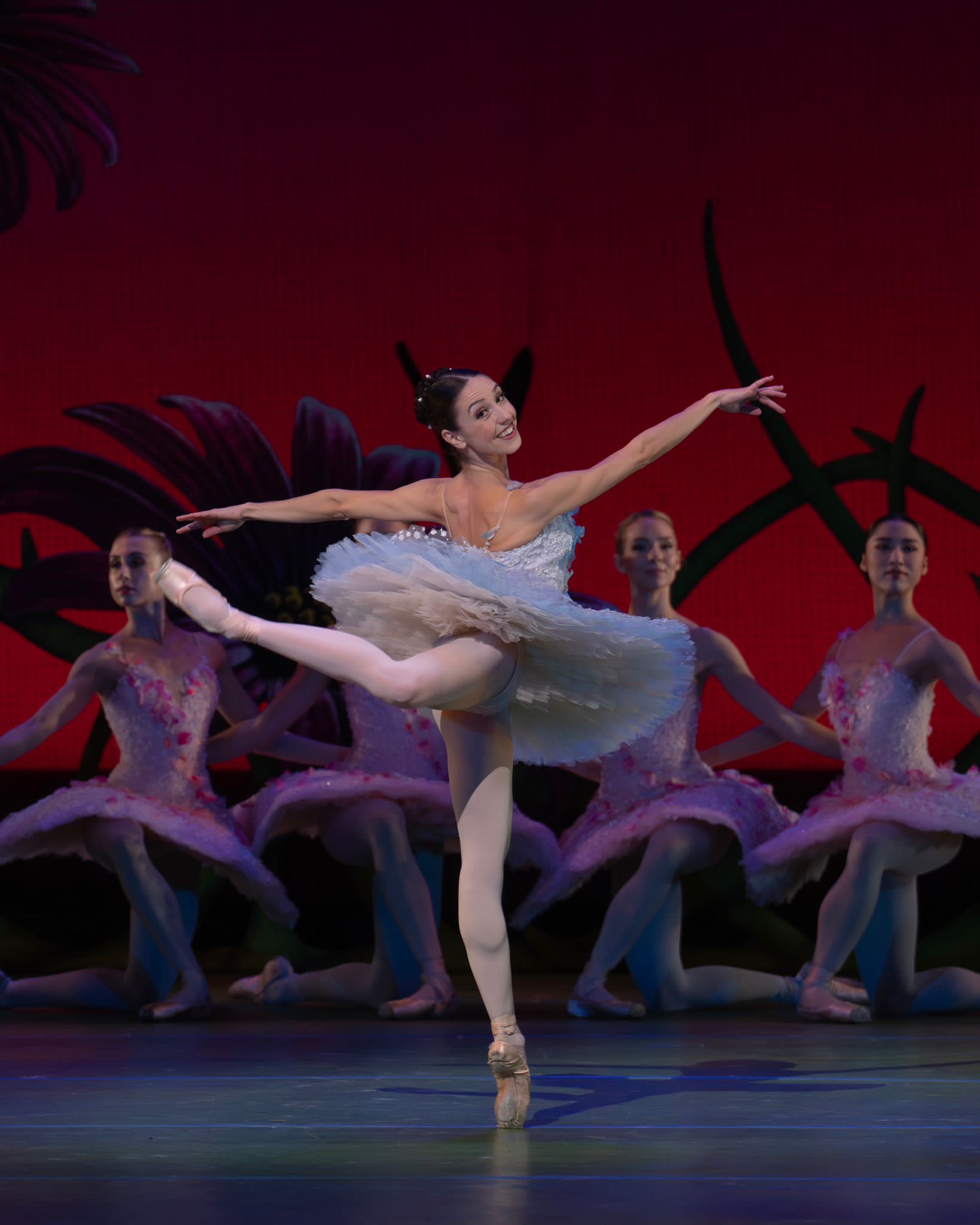 A dancer's blog - The Ballet Association